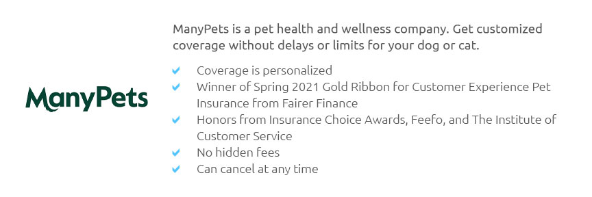 Best Pet Insurance For Dogs In Florida 🐾 May 2026